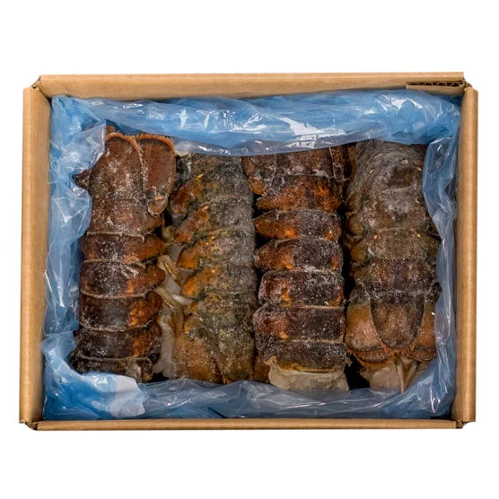 (Four Count) 10-12oz. Maine Lobster Tails – Batuden Lobster